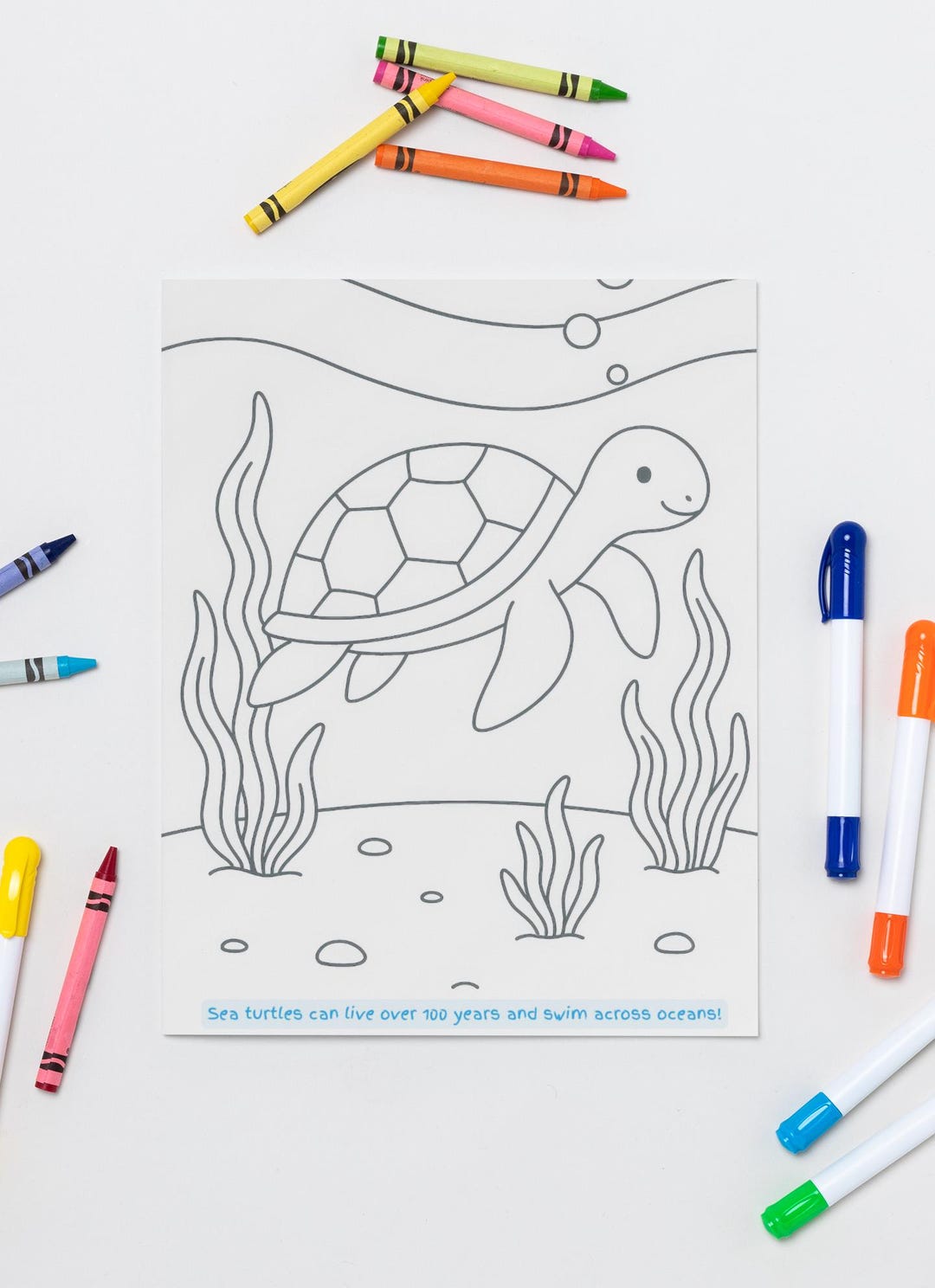DIGITAL DOWNLOAD | 26 Ocean Coloring Pages for Kids – Educational ...