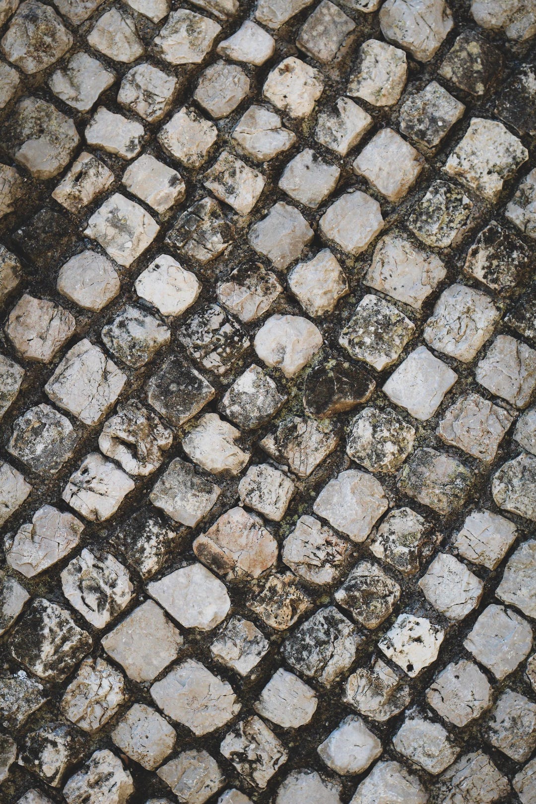 Digital Download Photograph of Ancient Roman Cobblestones in Rome ...