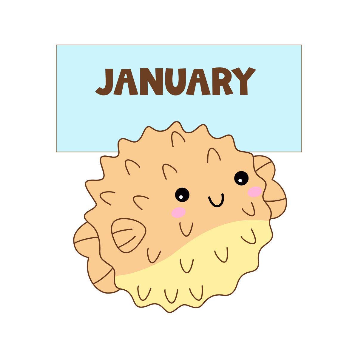 Under the Sea Birthday Bulletin Board Kit: Ocean Classroom Decor ...