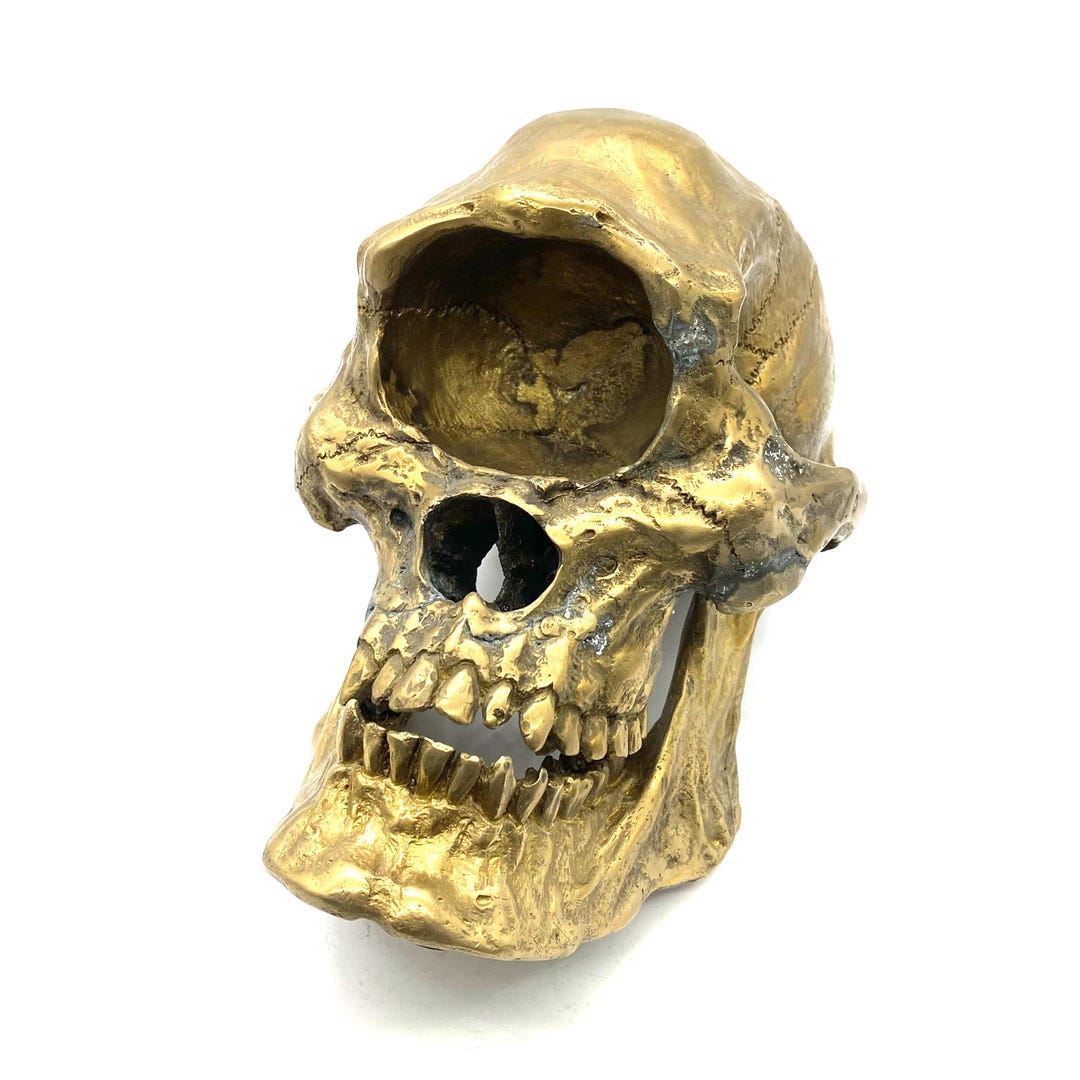 Brass Cyclops Sculpture One-eye Skull Heads 1:1 Statue,handmade Brass ...