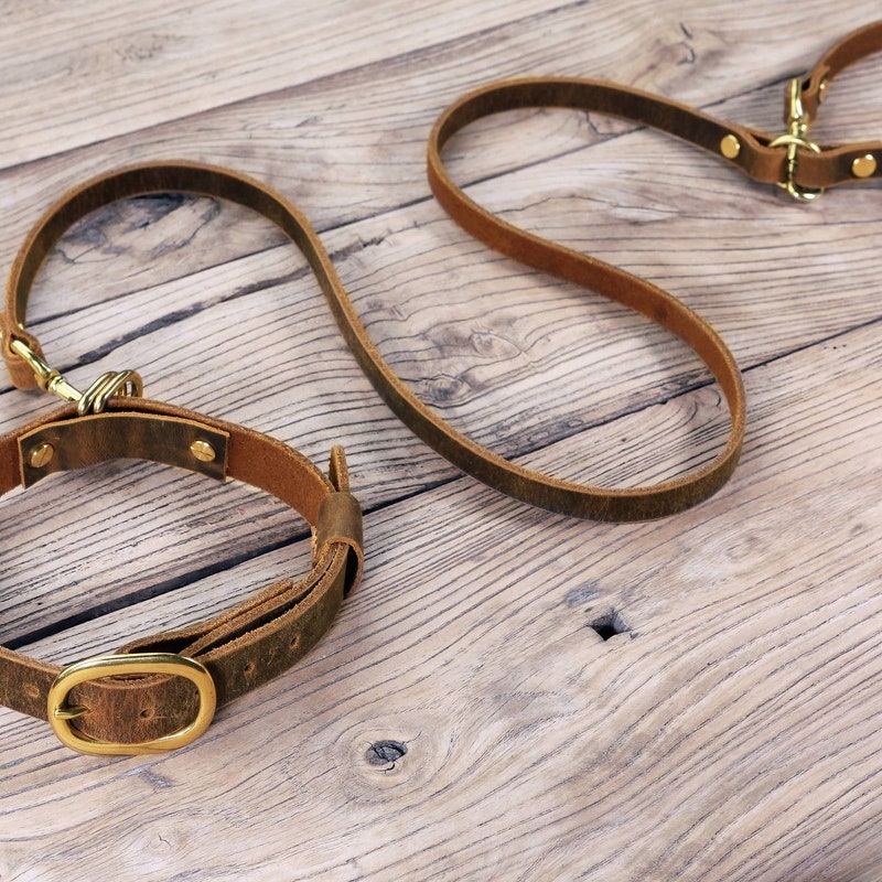 Dog Collar and Leash Set - Etsy
