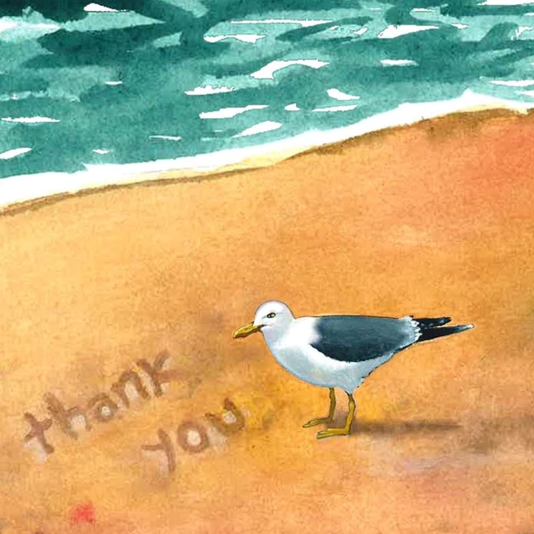 Funny Seagull Thank You Card Beach Greeting Card Bird Writing in Sand ...