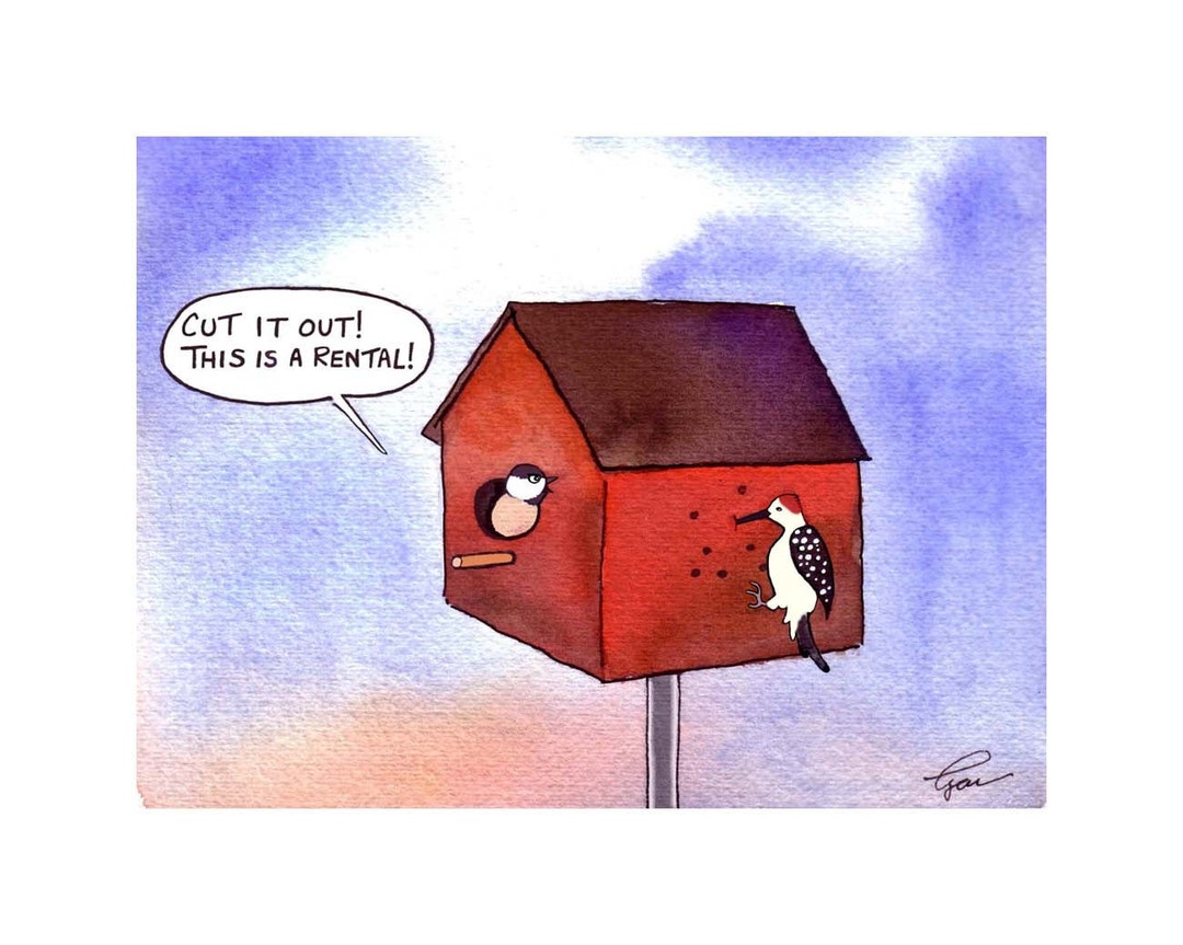Funny Greeting Card Humor Bird Card Birds and Birdhouse Cartoon ...