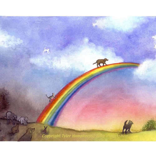 The Rainbow Bridge: Pet/dog Loss Sympathy Card - Etsy