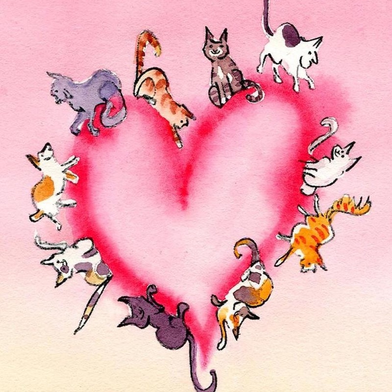 Valentine Card Cat Funny - Etsy