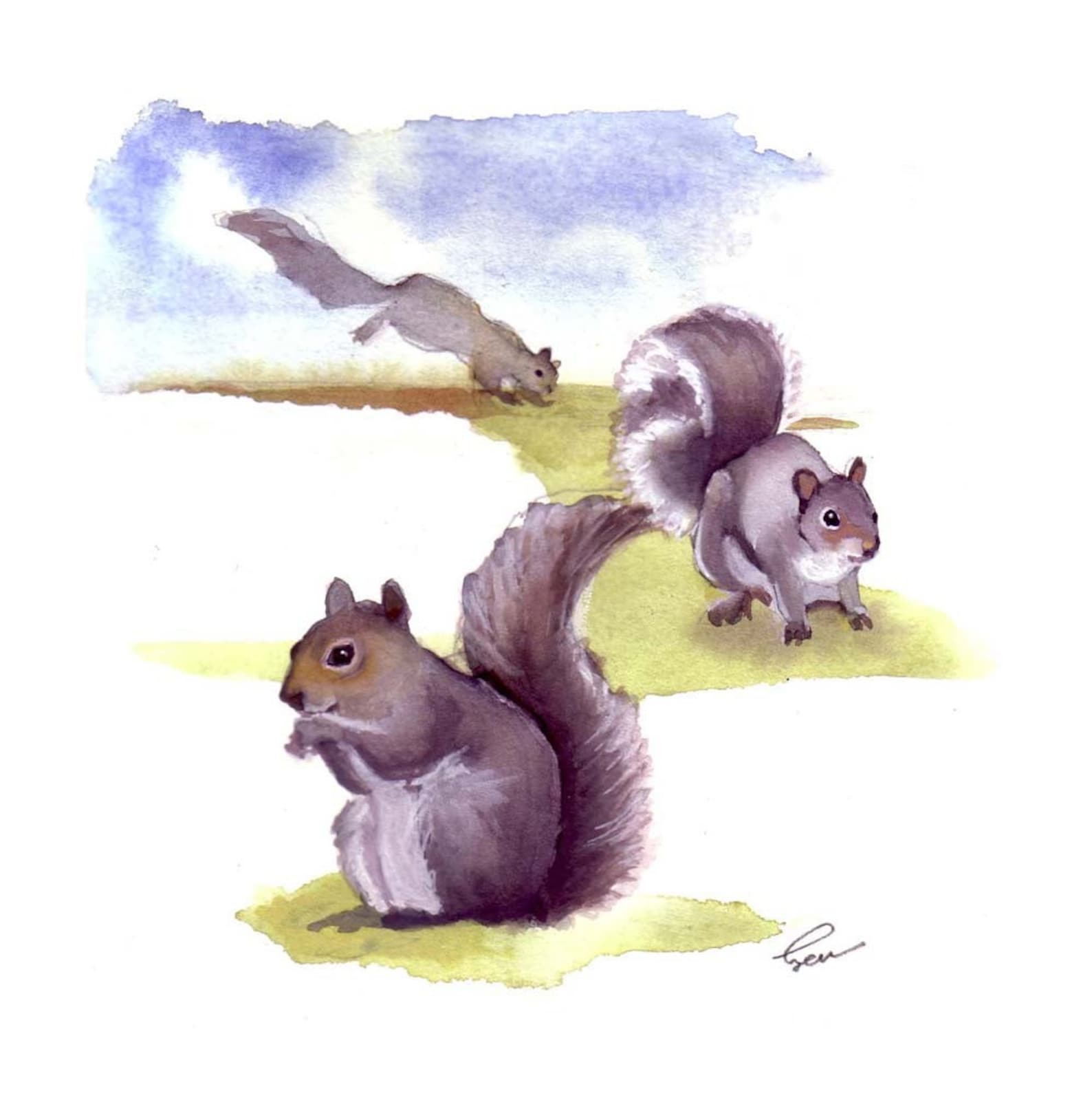 Squirrel Greeting Card Squirrel Art Squirrel Illustration - Etsy