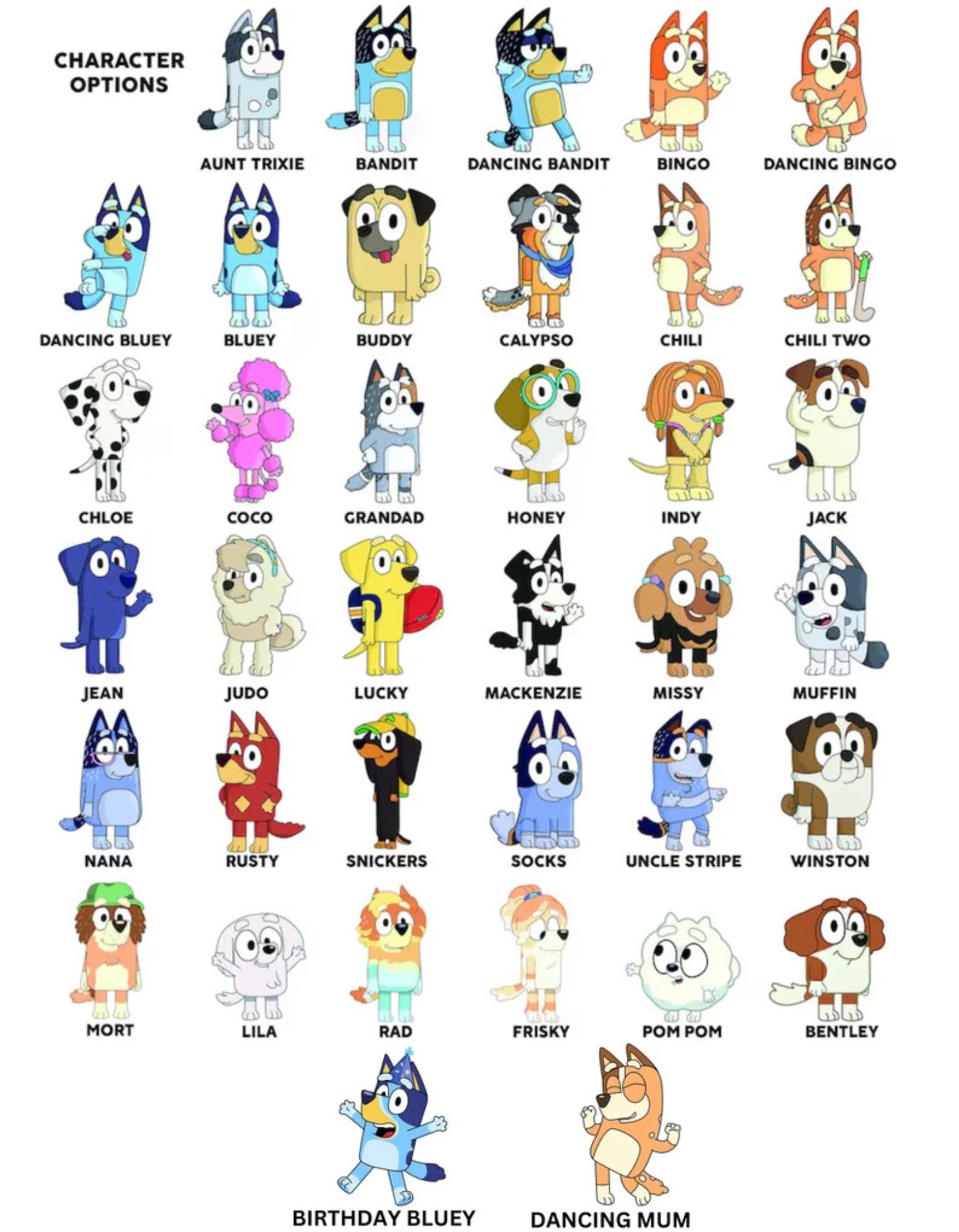 Personalized Bluey Family Matching Shirts, Custom Bluey Birthday Party ...