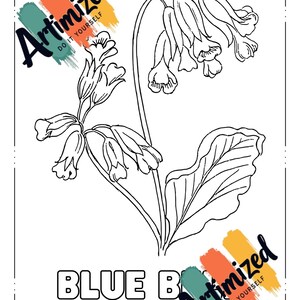Tropical Flowers Coloring Pages | Hibiscus, Plumeria, Orchids & More ...