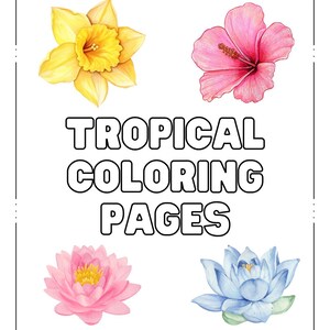Tropical Flowers Coloring Pages | Hibiscus, Plumeria, Orchids & More ...