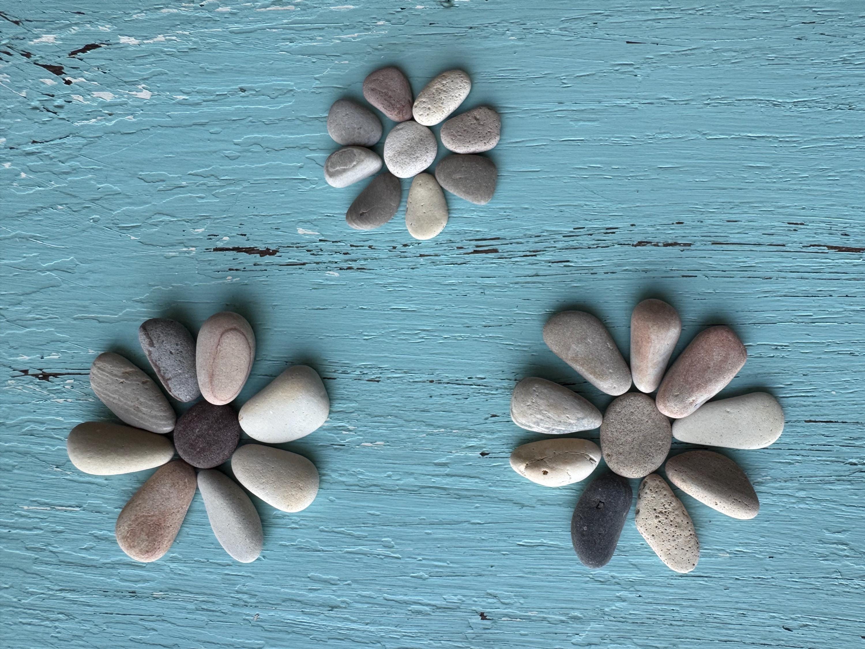 Pebbles for Your Flower Art/craft Creations - Etsy