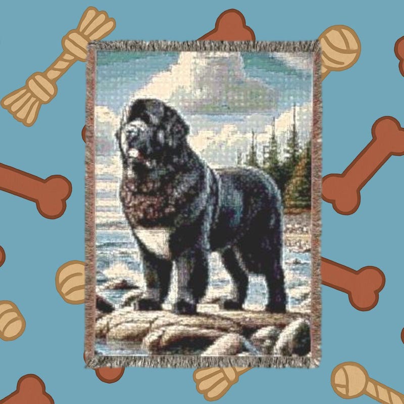 Newfoundland Quilts - Etsy Canada