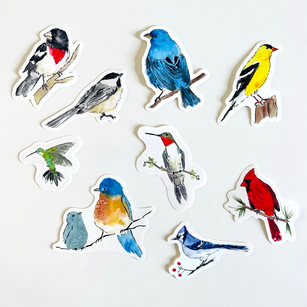 Backyard Birds Sticker Set: Vinyl Die Cut Stickers - Etsy