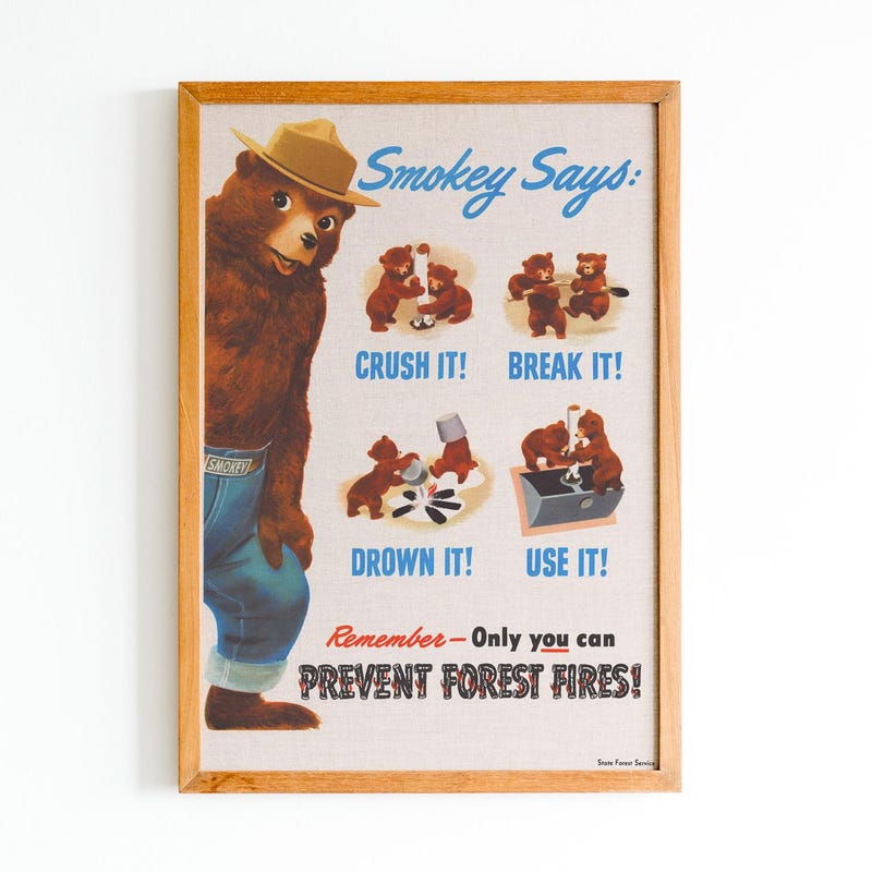 Smokey Bear Poster - Etsy