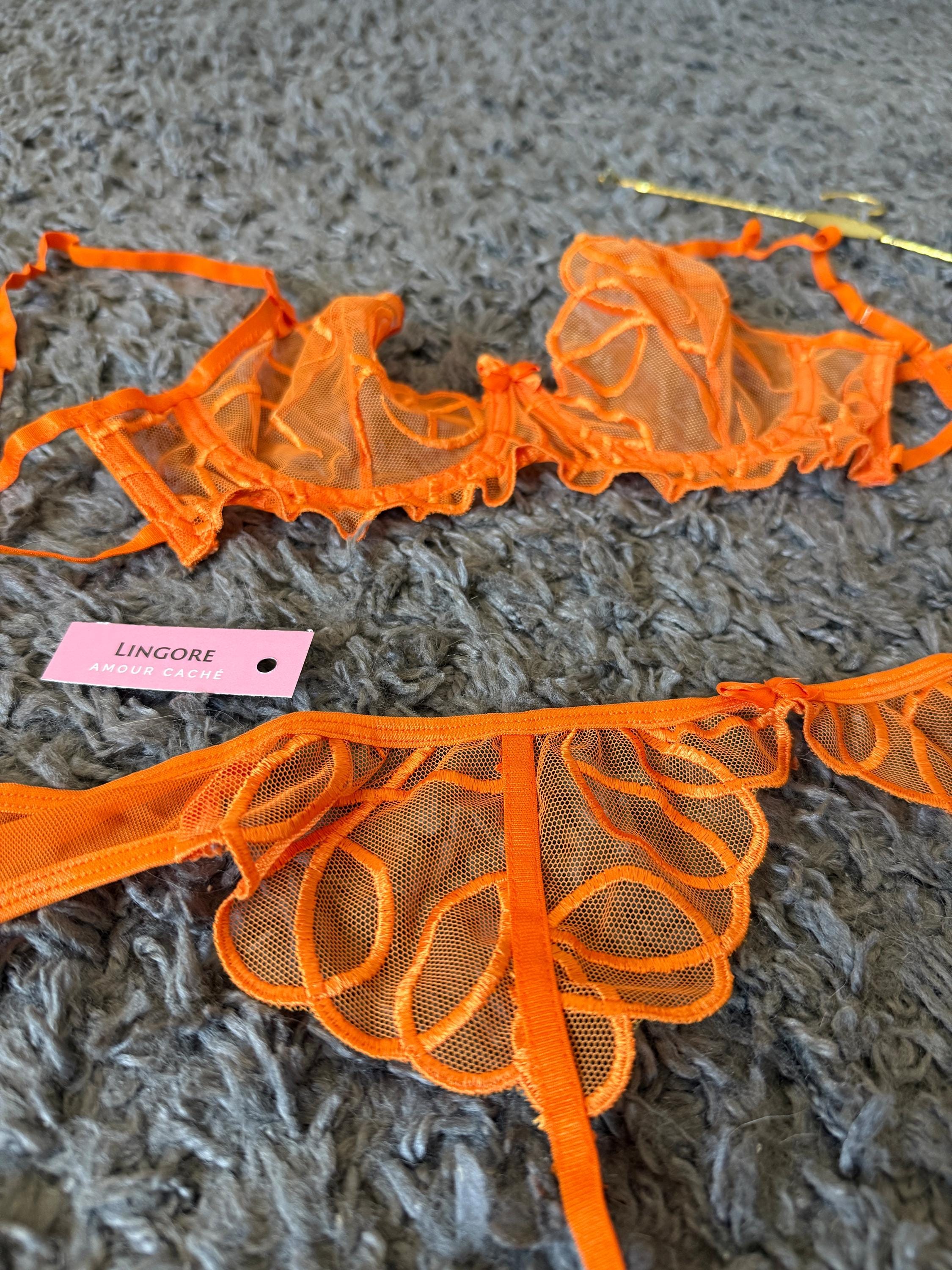 Embroidered Lingerie Set, See Through Bra and Panty Amber Mesh Lingerie ...