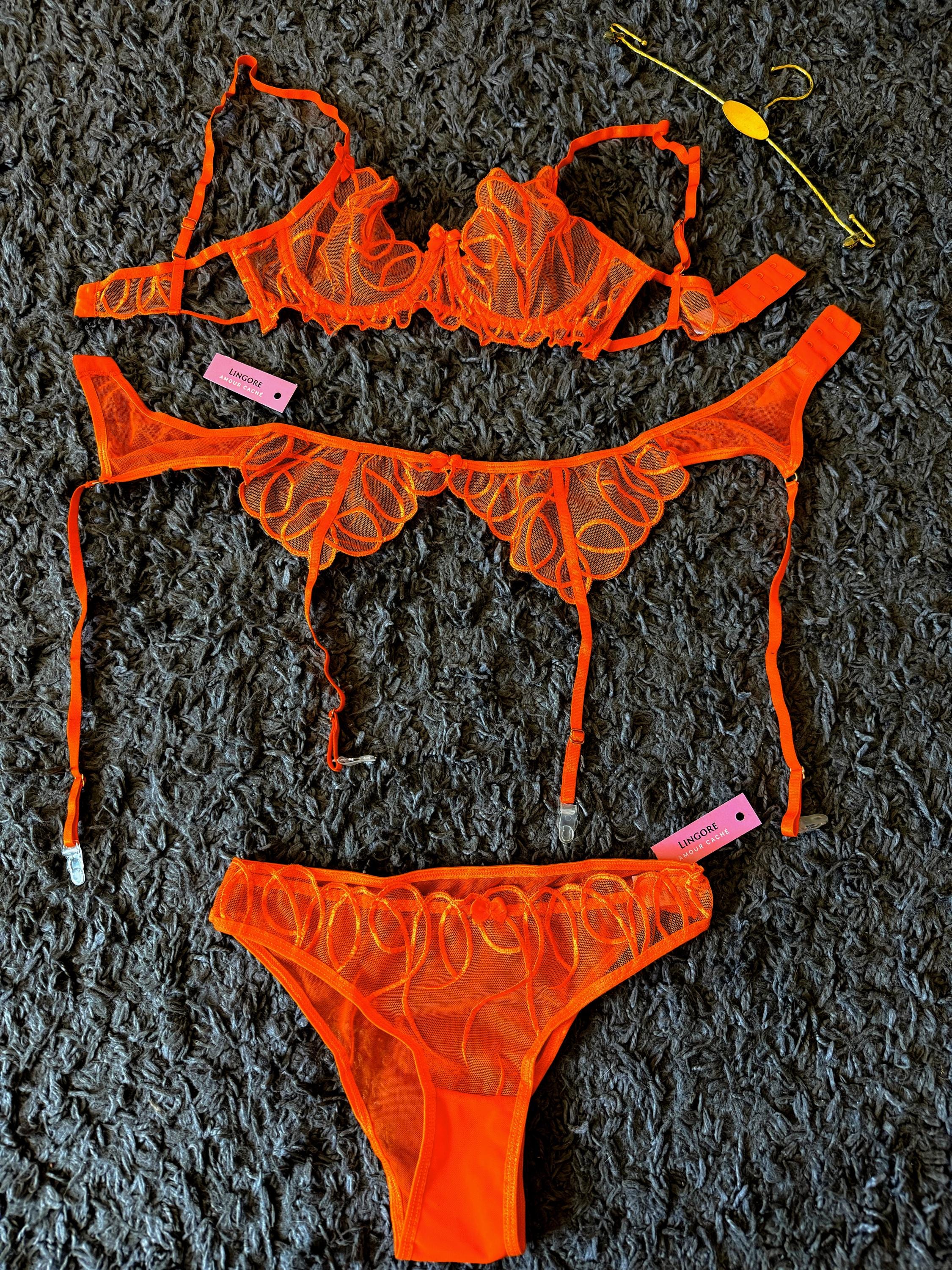 Embroidered Lingerie Set, See Through Bra and Panty Amber Mesh Lingerie ...
