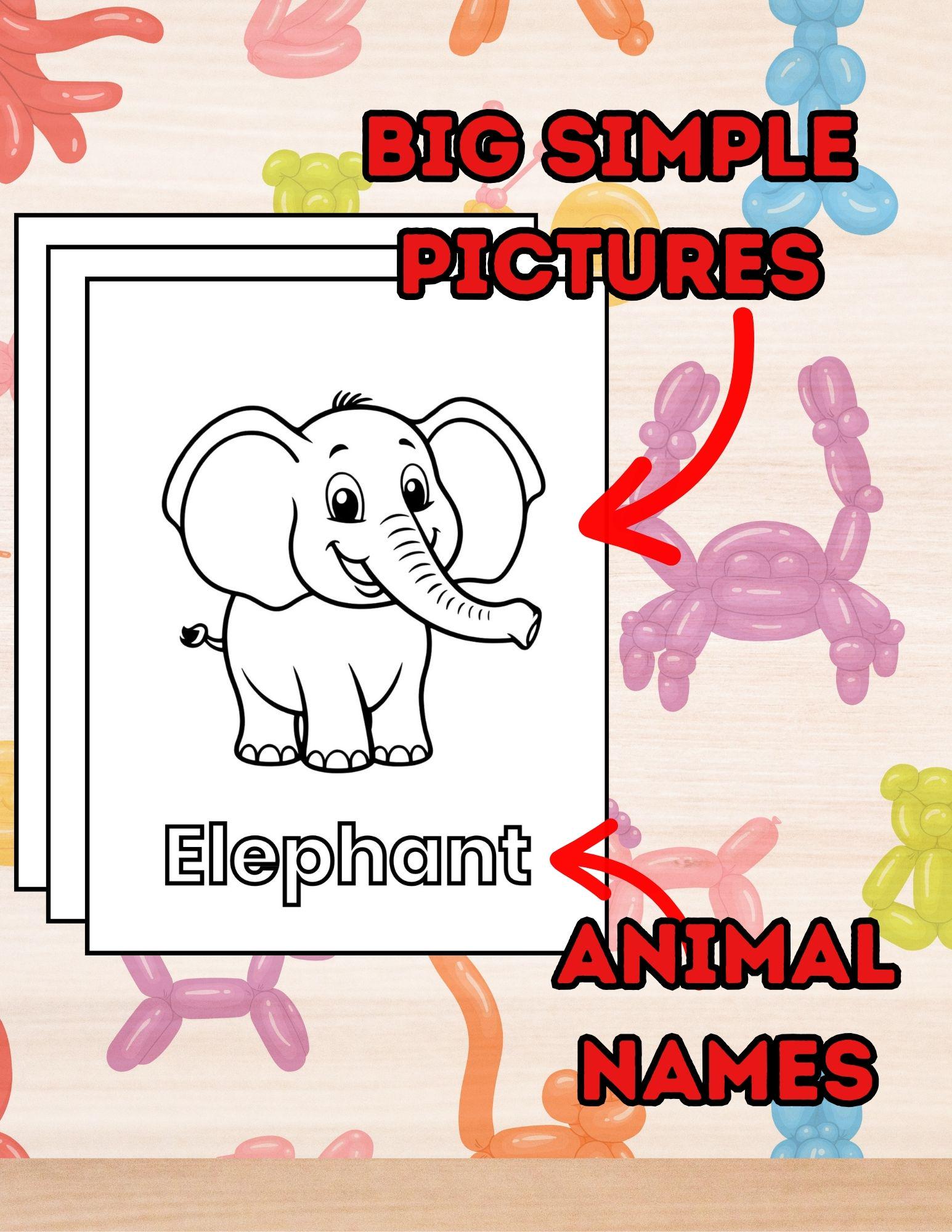 Animal Names Coloring Pages: Educational Flash Cards (PDF & JPG Digital ...