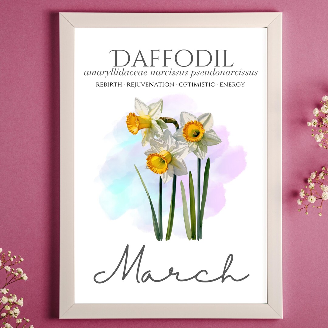 March Birth Flower Art Daffodil Jonquil Floral Watercolor Printable ...