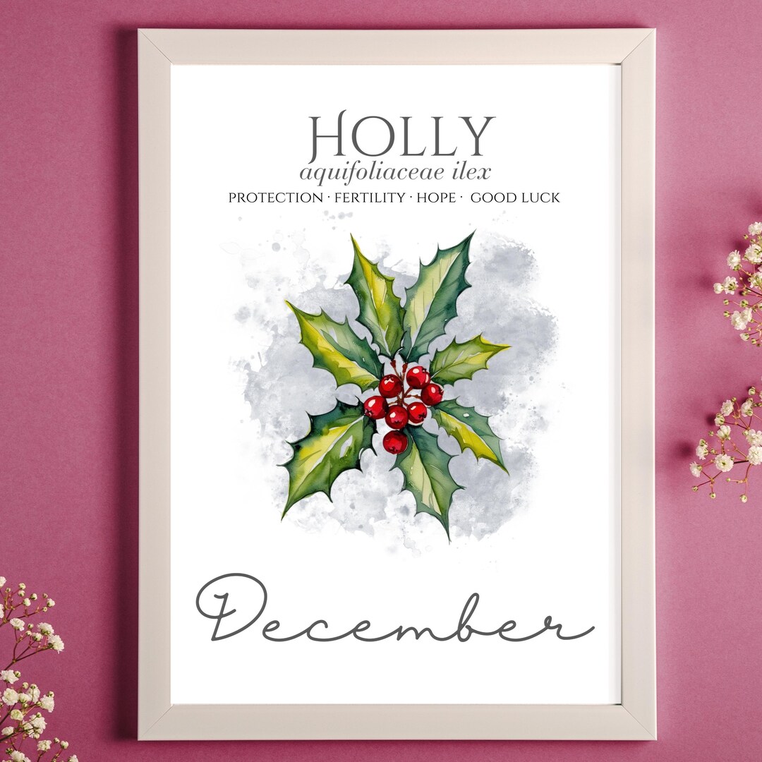 December Birth Flower Art: Holly and Paperwhite Watercolor Print ...
