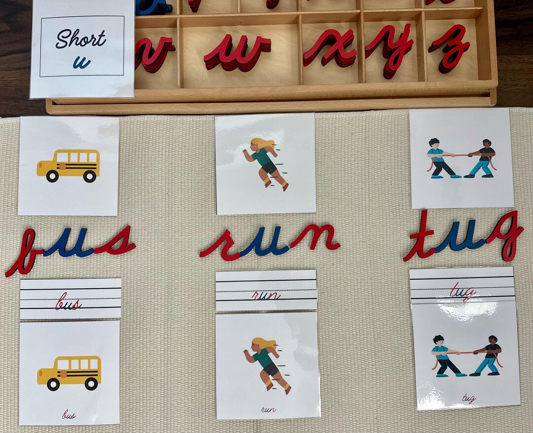 Short Vowel "u" Nomenclature Cards - Etsy