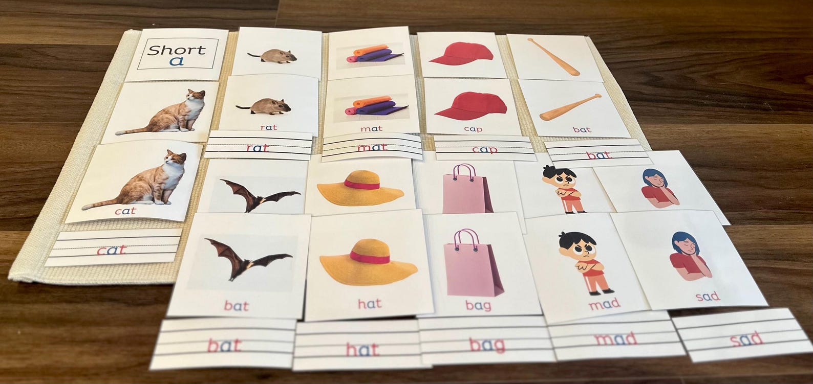 Short Vowel "a" Nomenclature 3 Part Cards - Print - Etsy
