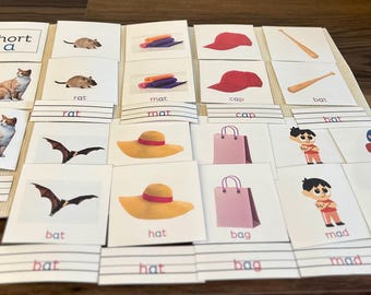 Short Vowel "i" Nomenclature 3 Part Cards - Print - Etsy