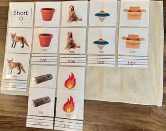 Short Vowel "i" Nomenclature 3 Part Cards - Print - Etsy