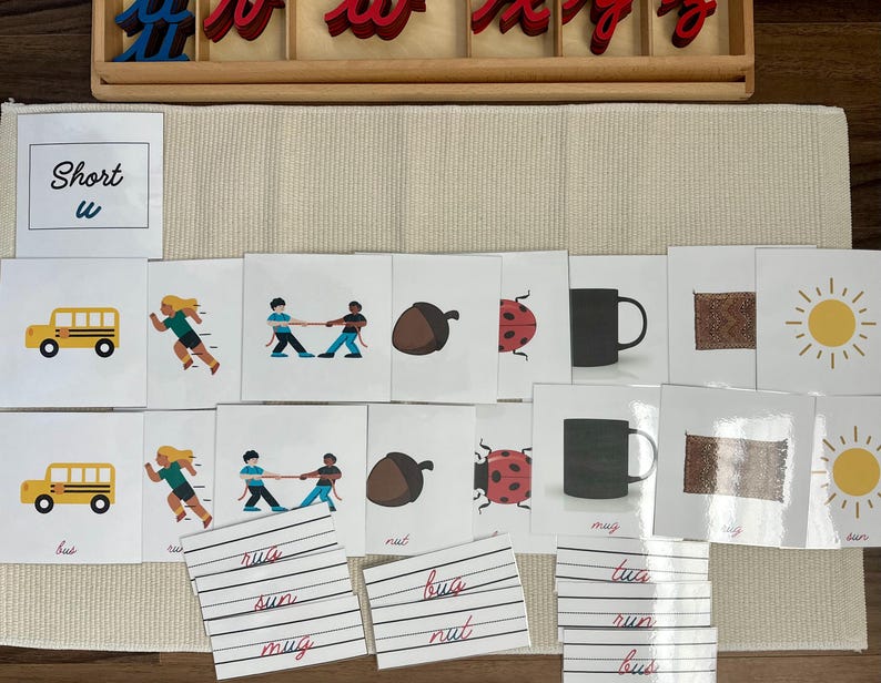 Short Vowel "u" Nomenclature Cards - Etsy