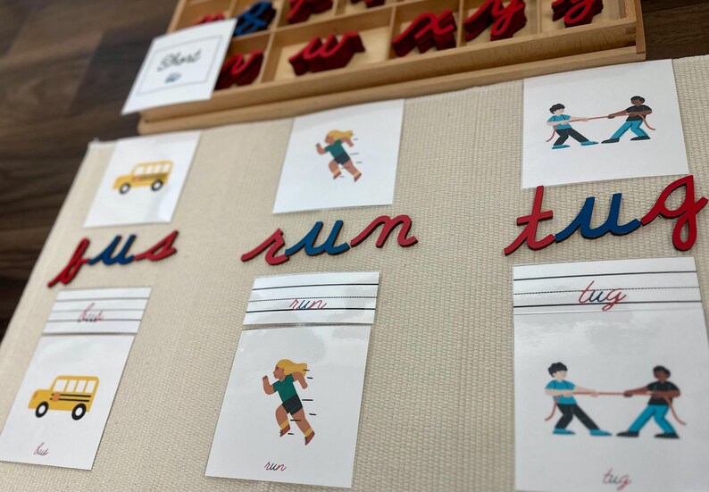 Short Vowel "u" Nomenclature Cards - Etsy