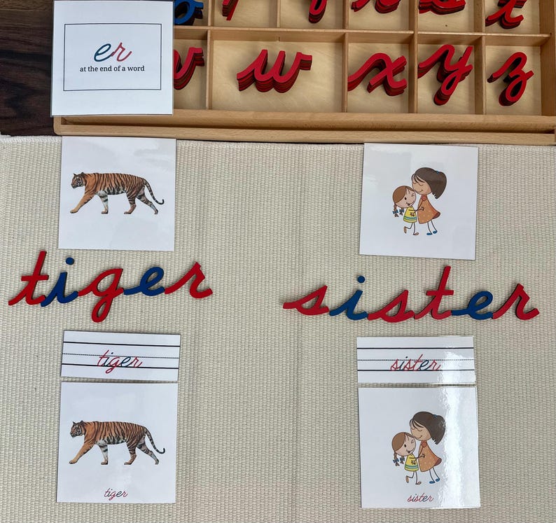 Suffix "er" Nomenclature Cards - Etsy
