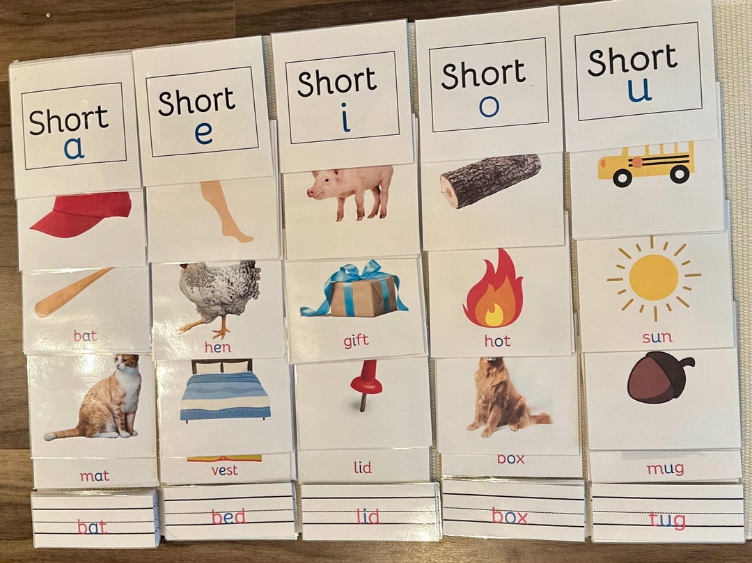 Short Vowel (a, E, I, O, U) Nomenclature 3 Part Cards - Print - Etsy