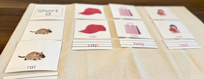 Short Vowel "a" Nomenclature 3 Part Cards - Print - Etsy