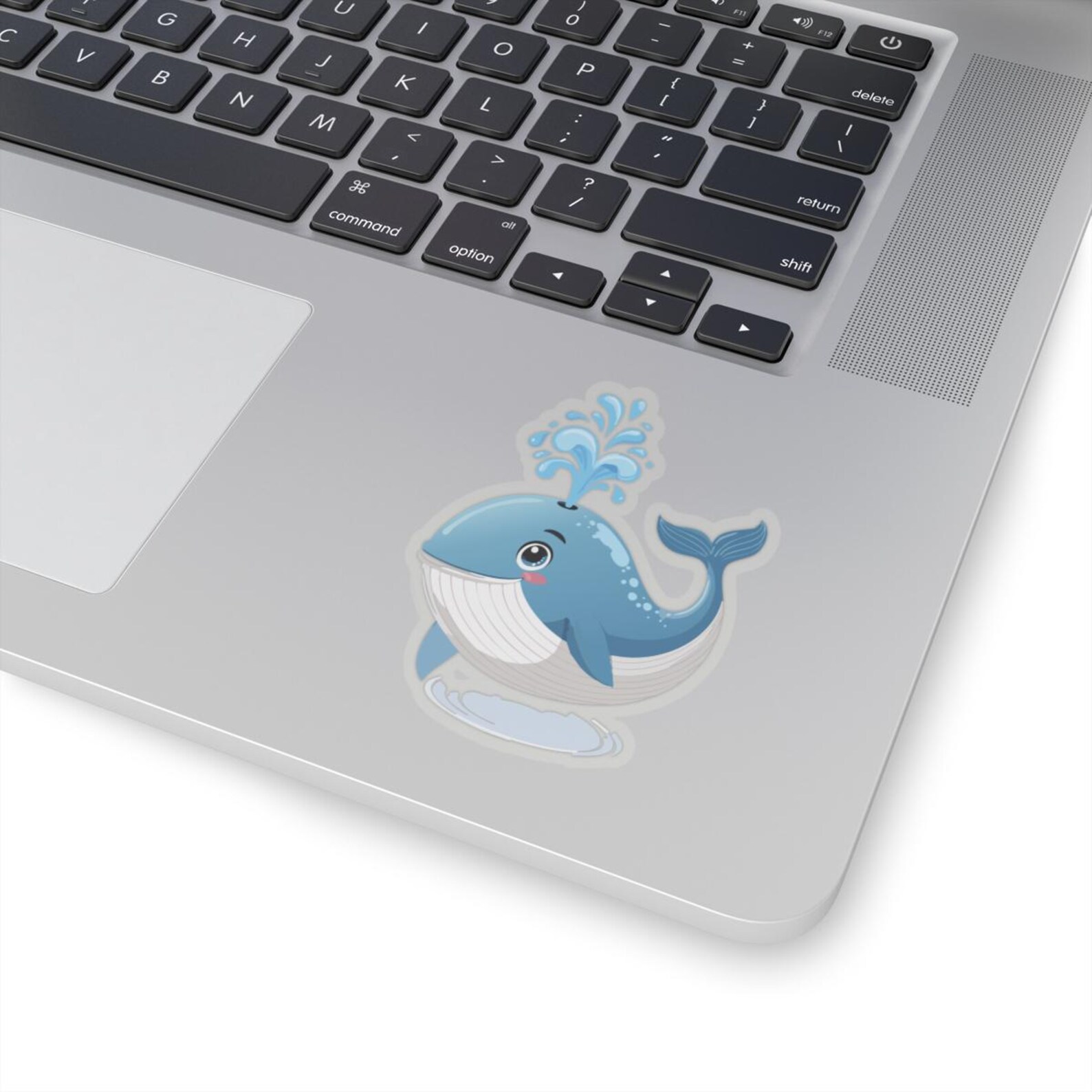 Wally Whale - Die-cut Stickers, Adorable Ocean Animal Decals, Laptop ...