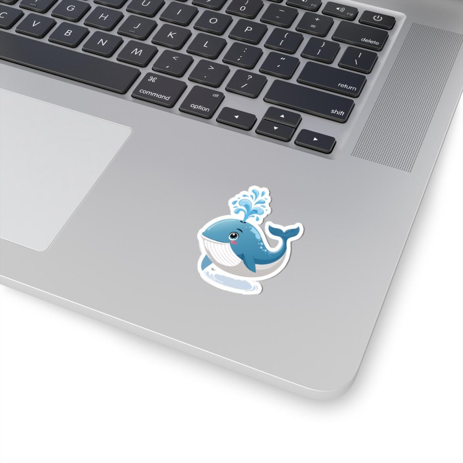 Wally Whale - Die-cut Stickers, Adorable Ocean Animal Decals, Laptop ...