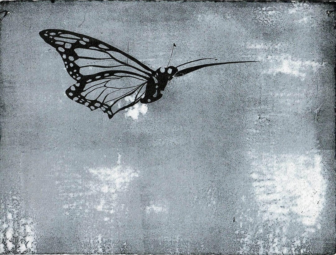 Monarch Butterfly - Original Lithograph Print With Poem Supporting ...