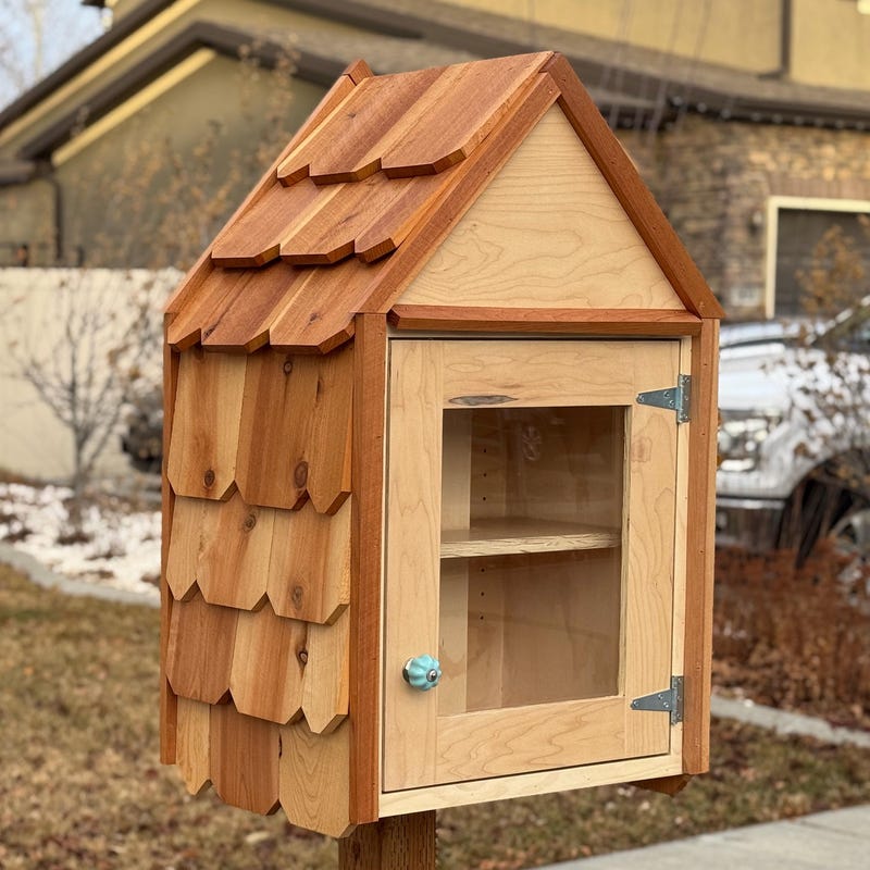 Little Library Box - Etsy
