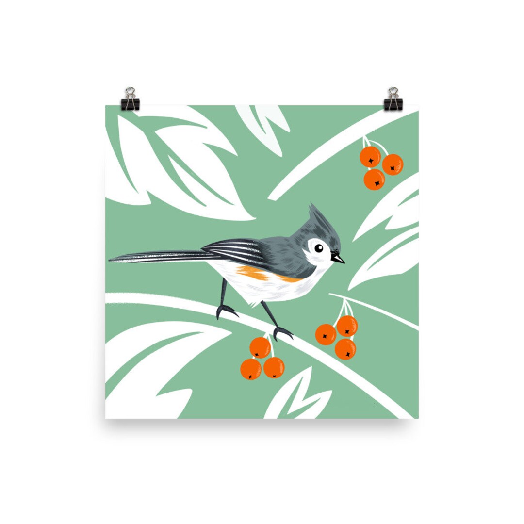 Tufted Titmouse Art Print, Bird Art, Titmouse Art Print, Bird Artwork ...