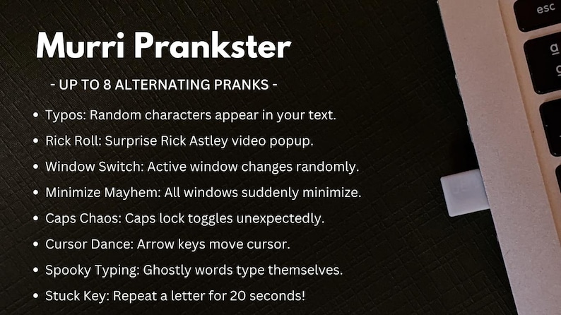 Prank USB | Coworker Pranker | Rubber Duck - Etsy