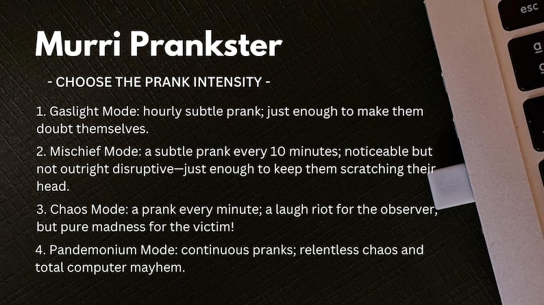 Prank USB | Coworker Pranker | Rubber Duck - Etsy