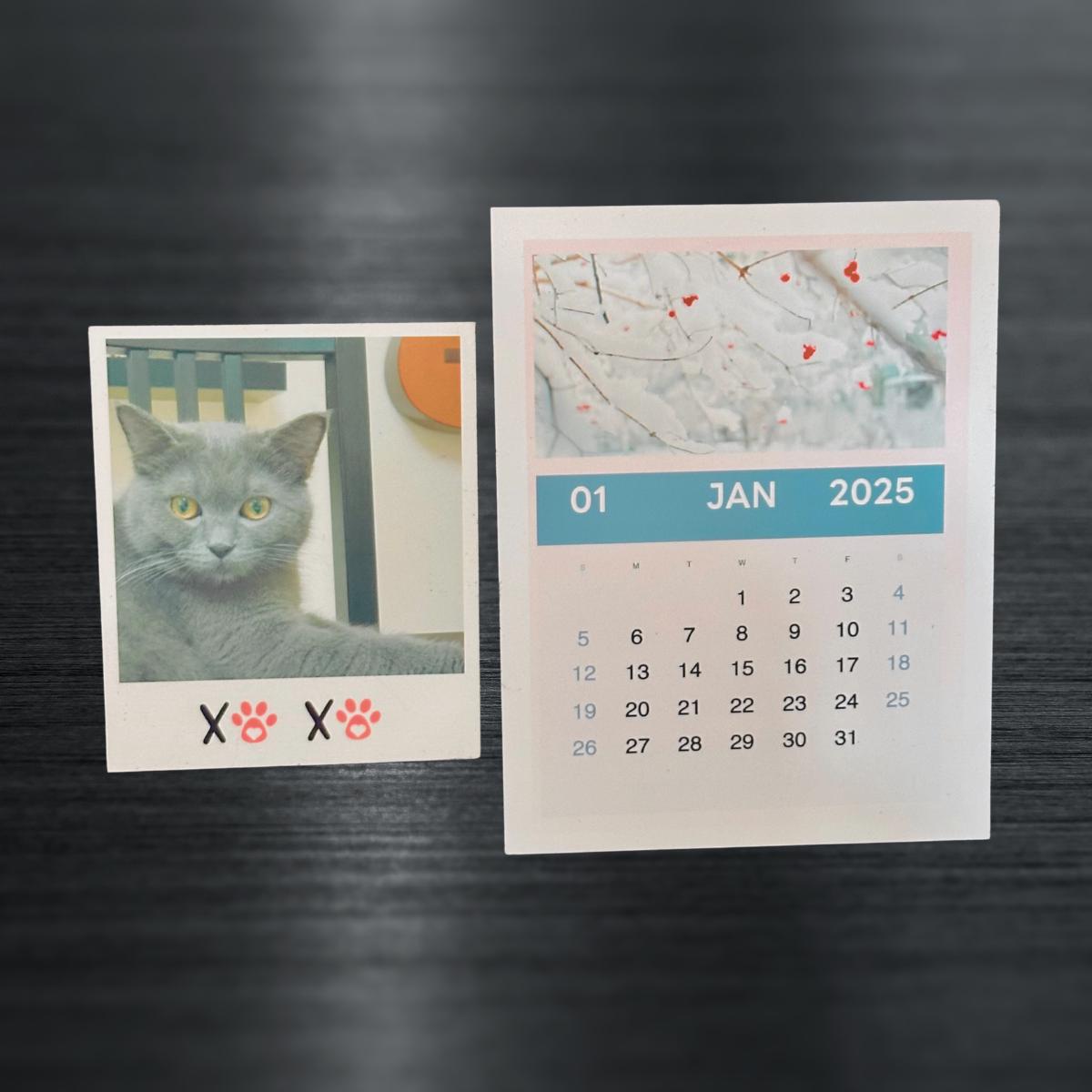 Custom Calendar Magnet, Photo Magnet, Durable and Practical Calendar ...