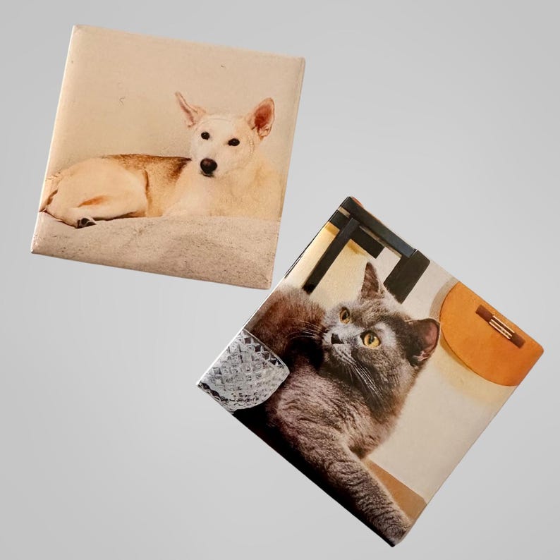 Personalized 2x2 Photo Magnet, Quality Custom Picture Magnet, Stylish ...