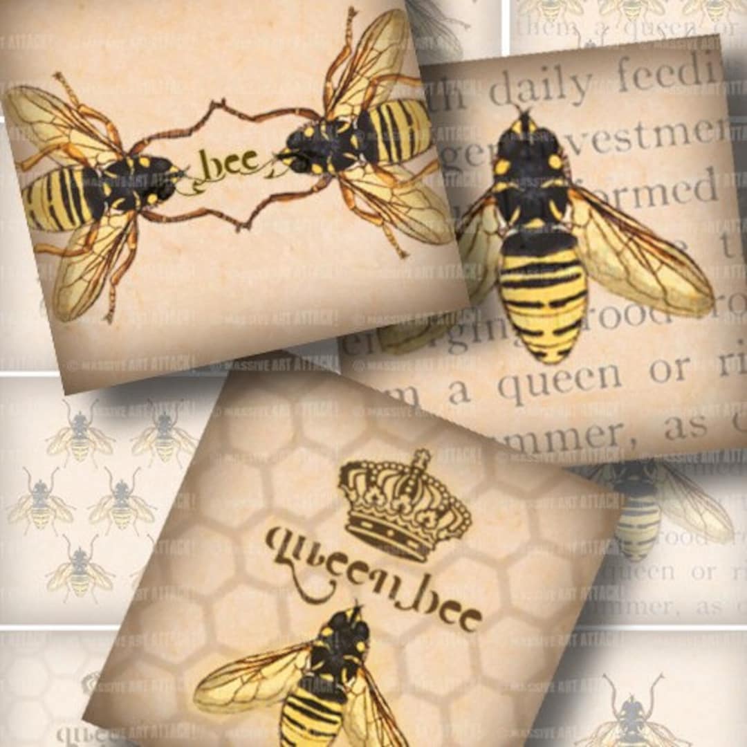 Bee Illustrations . Digital Collage Sheet 185 . Vintage Beekeeping Text ...