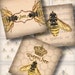 Bee Illustrations . Digital Collage Sheet 185 . Vintage Beekeeping Text ...