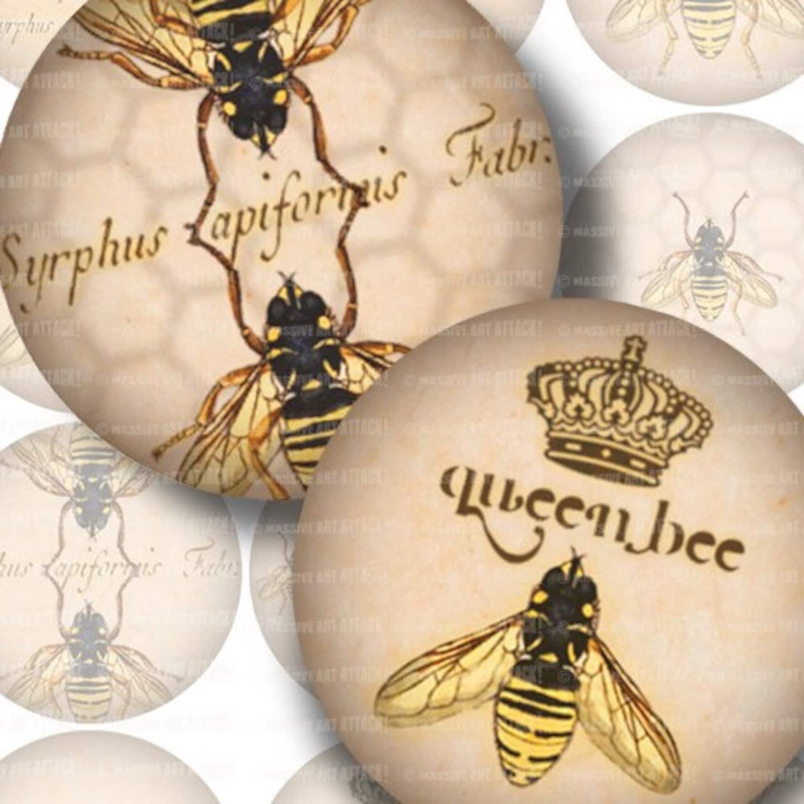 Bee Illustrations With Vintage Beekeeping Text . Digital Collage Sheet ...