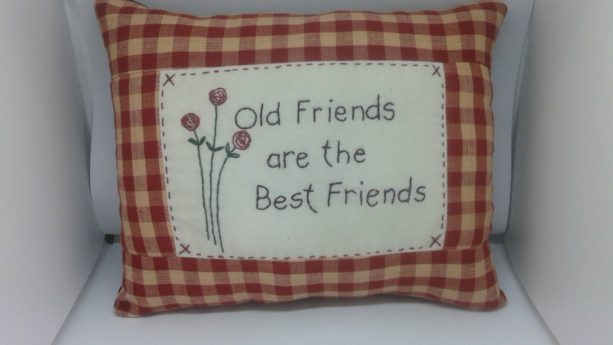 Best Friends Pillow - Etsy
