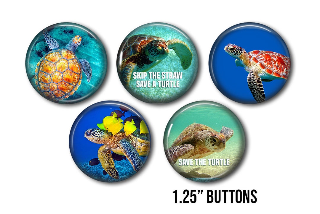 Sea Turtle Buttons, 5-1.25 Buttons, Nature Pins, Gift, Save the Turle ...