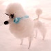 White Poodle Dog Pom Pom Decoration, 50s 60s Retro Style - Etsy