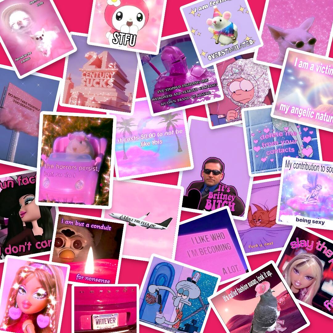 Pink Girl Funny Meme Sticker Pack, Meme Stickers, Funny Stickers, Funny ...