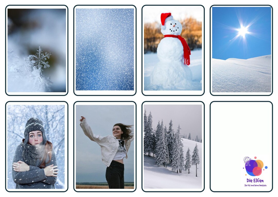 Printable Winter and Polar Animals Worksheets Flashcard and Memory for ...