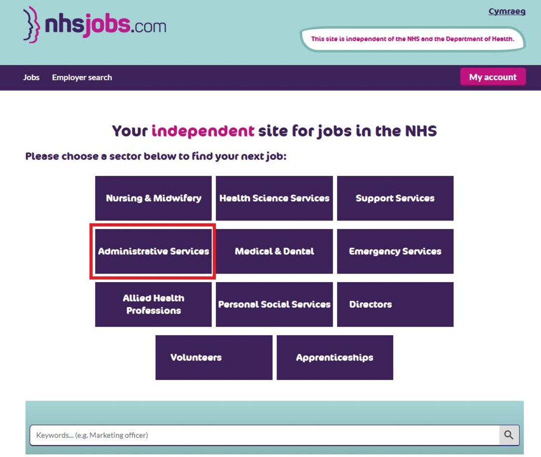 Ultimate NHS Personal Statement Guide for EHR/EPR Roles – Epic, Cerner, Meditech Analyst ...