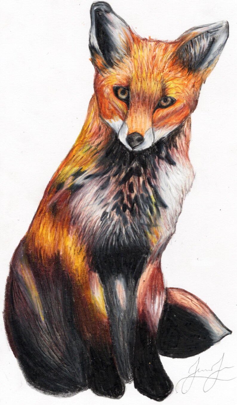 Jake Jordan Original Art Fox - Etsy